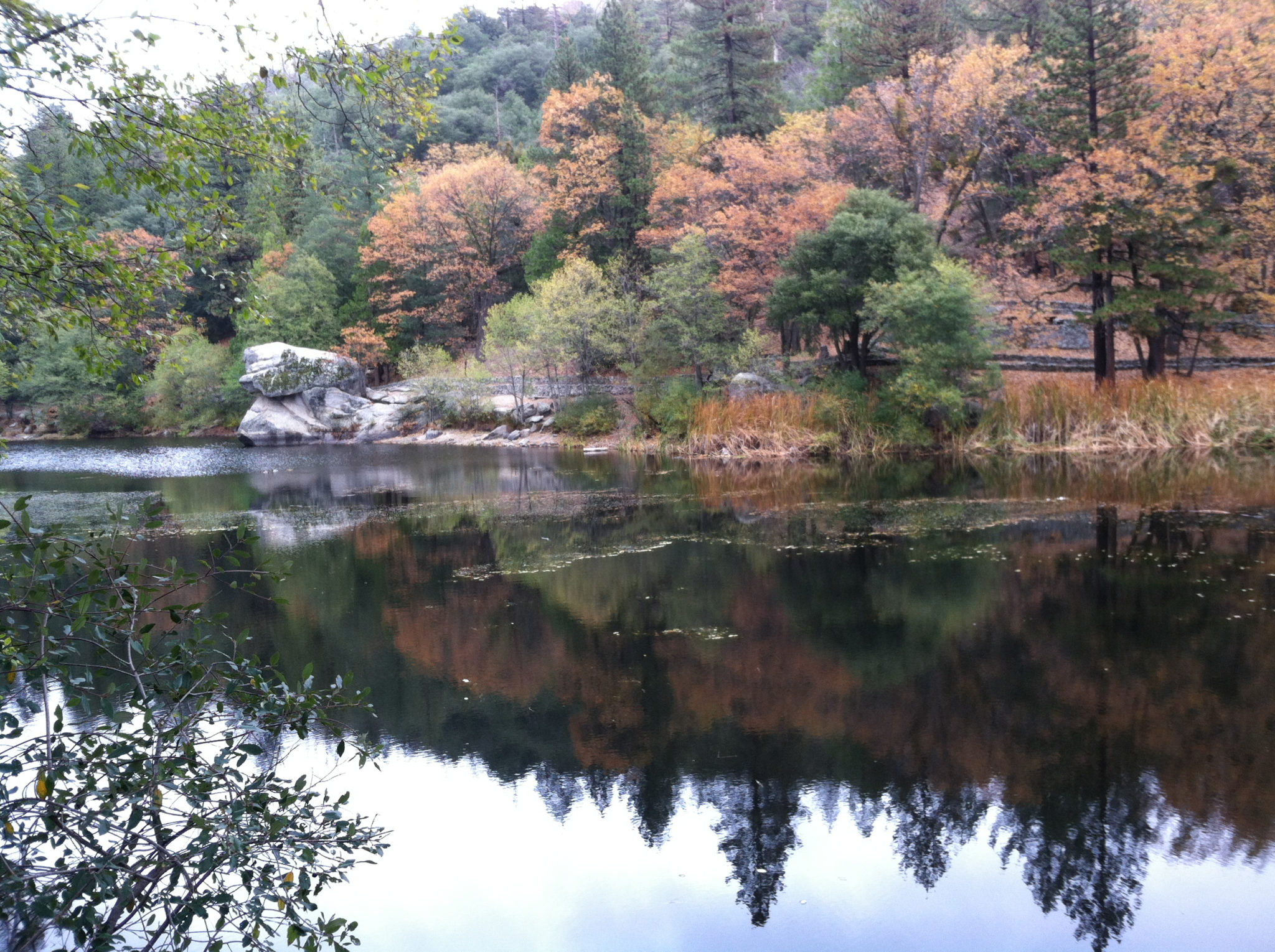 Modular Homes Make Your Family Safer in Idyllwild-Pine Cove